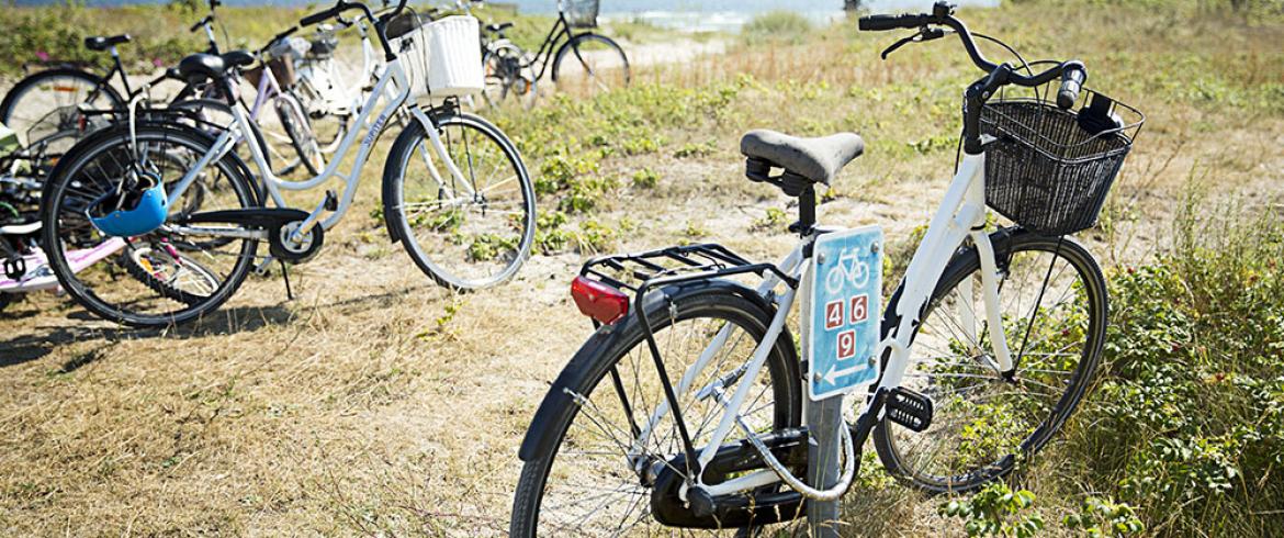 Danhostel | Hostels in Denmark | Budget Accommodation for Holidays in ...